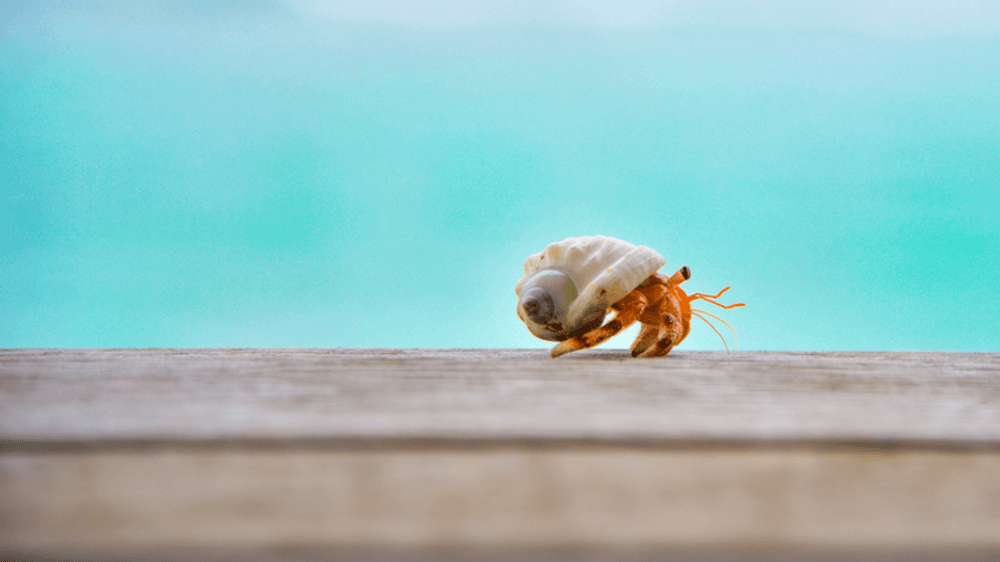 Using Laravels Policies And Route Model Binding Without Eloquent